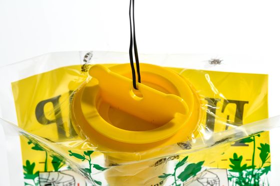 Saco de garrafas de armadilha para moscas de frutas Minissérie A chave ...